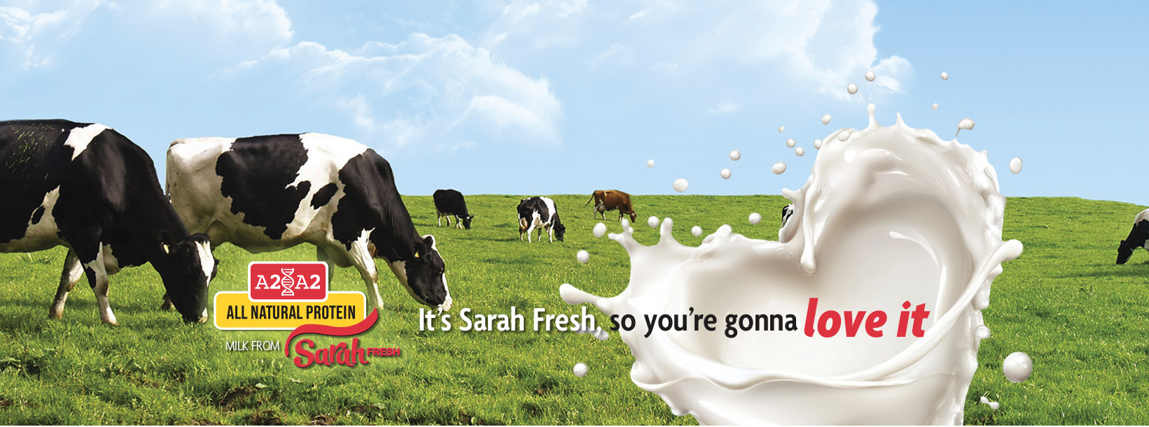 Sarah Fresh A2/A2 - Sarah Fresh